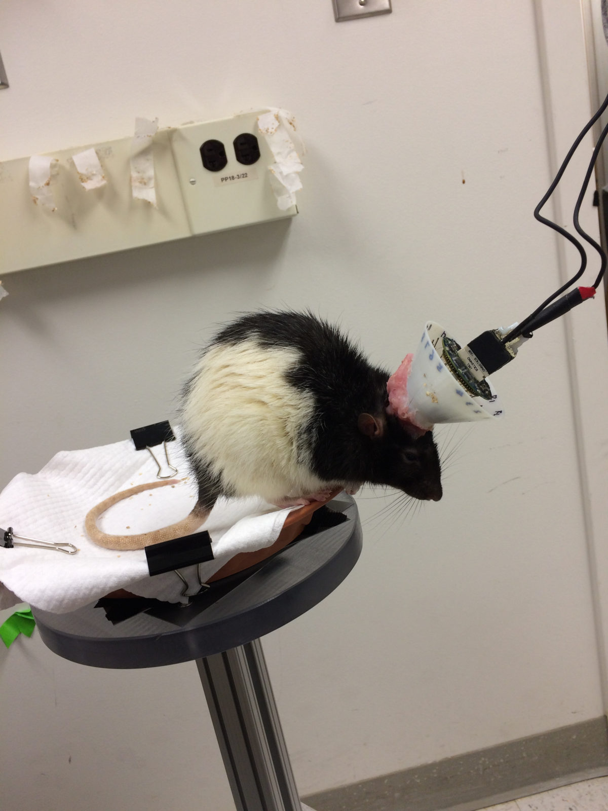 METHODS – Wang Lab @ SIAT