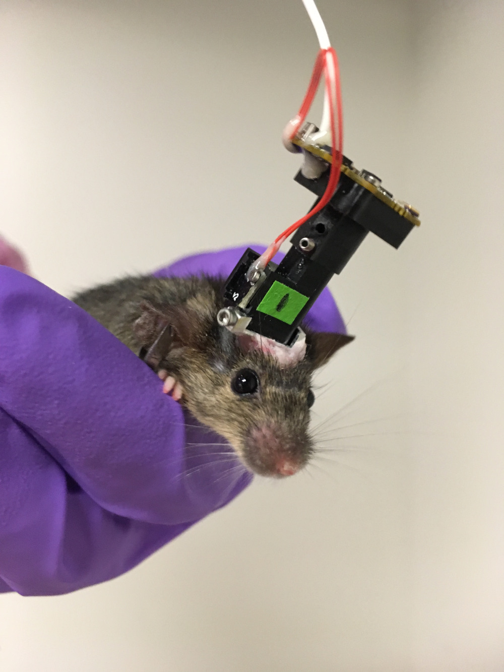 METHODS – Wang Lab @ SIAT